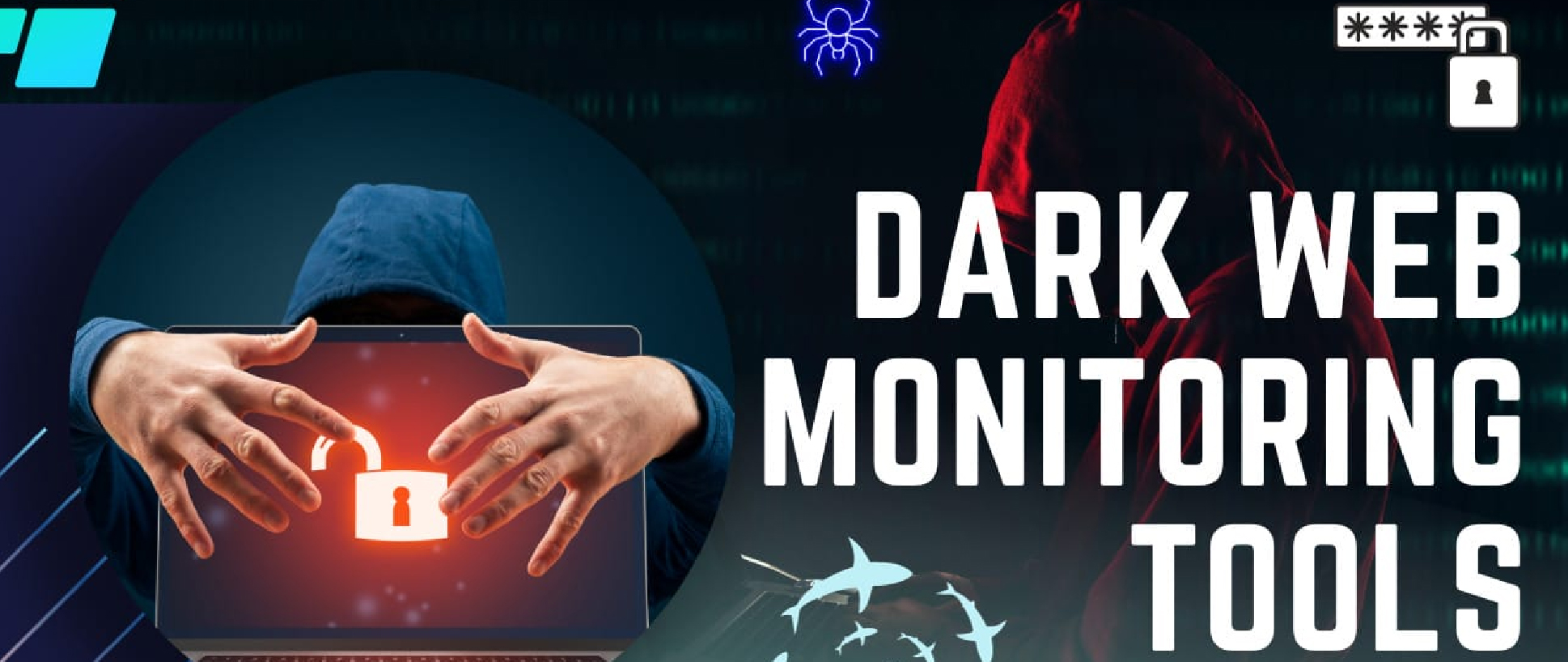 7 Best Dark Web Monitoring Tool With Top Notch Security The Hub Of Deep Web